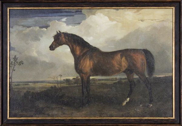 Butch Wall Art II – Majestic Horse Landscape Canvas with Brown Frame ...