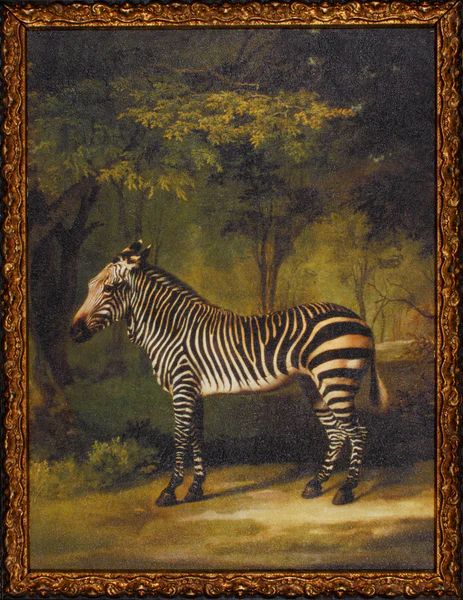 Felix Wall Art – Zebra Canvas Wall Decor with Gold Frame – Coco Thomas